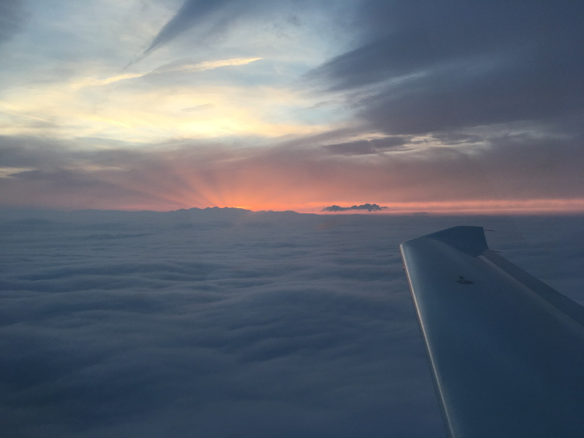 STORE – Denver Flyers